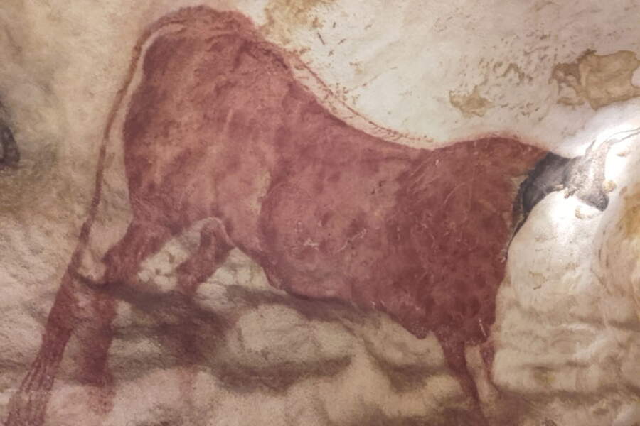 Lascaux 4 : une merveille - Ça m'interesse