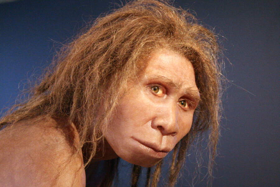 L'incroyable évolution des hommes préhistoriques - Ça m'interesse