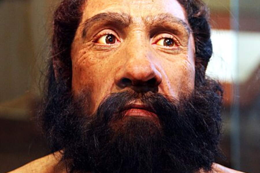 L'incroyable évolution des hommes préhistoriques - Ça m'interesse