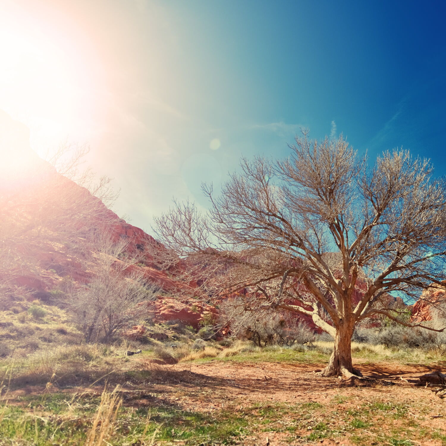 Climat : à partir de quand parle-t-on de canicule ? - Geo.fr