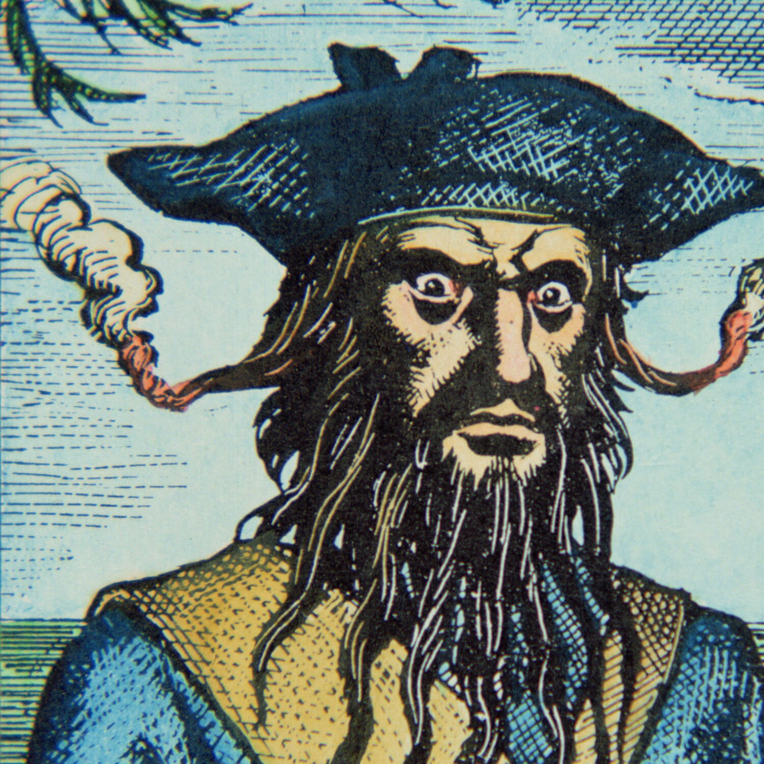 Ile de la Tortue, Frères de la côte... La véritable histoire des ...