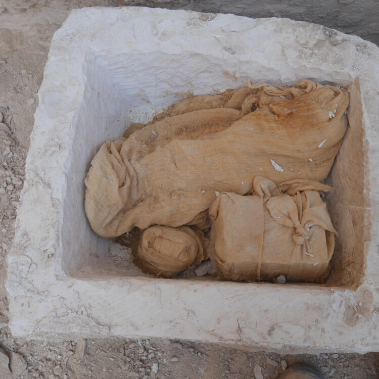 Egypte : un coffre en pierre découvert près d'un temple pourrait ...