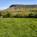 Comment le trèfle est-il devenu l’emblème de l’Irlande ? - Geo.fr