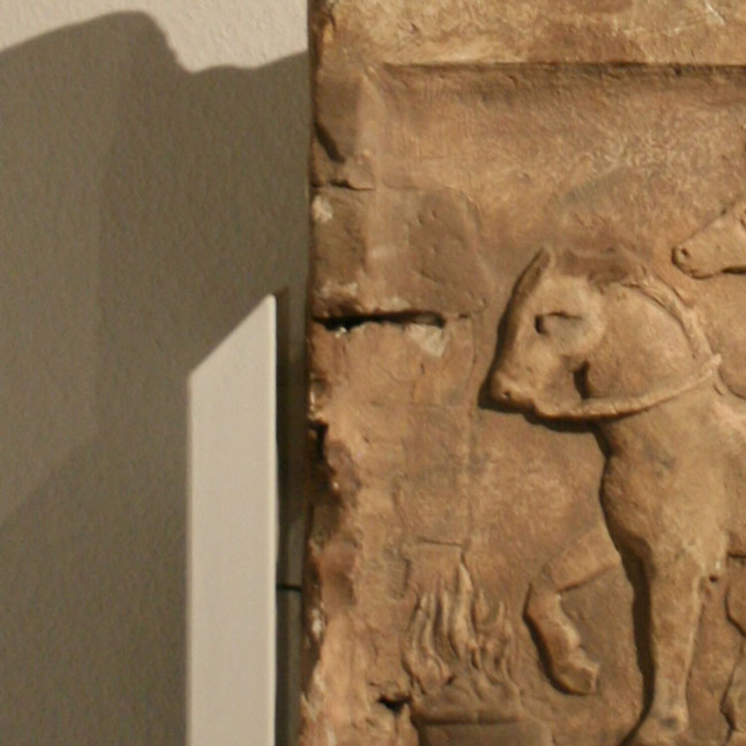 Teutatès, Belanos... Qui étaient les principaux dieux celtes ? - Geo.fr