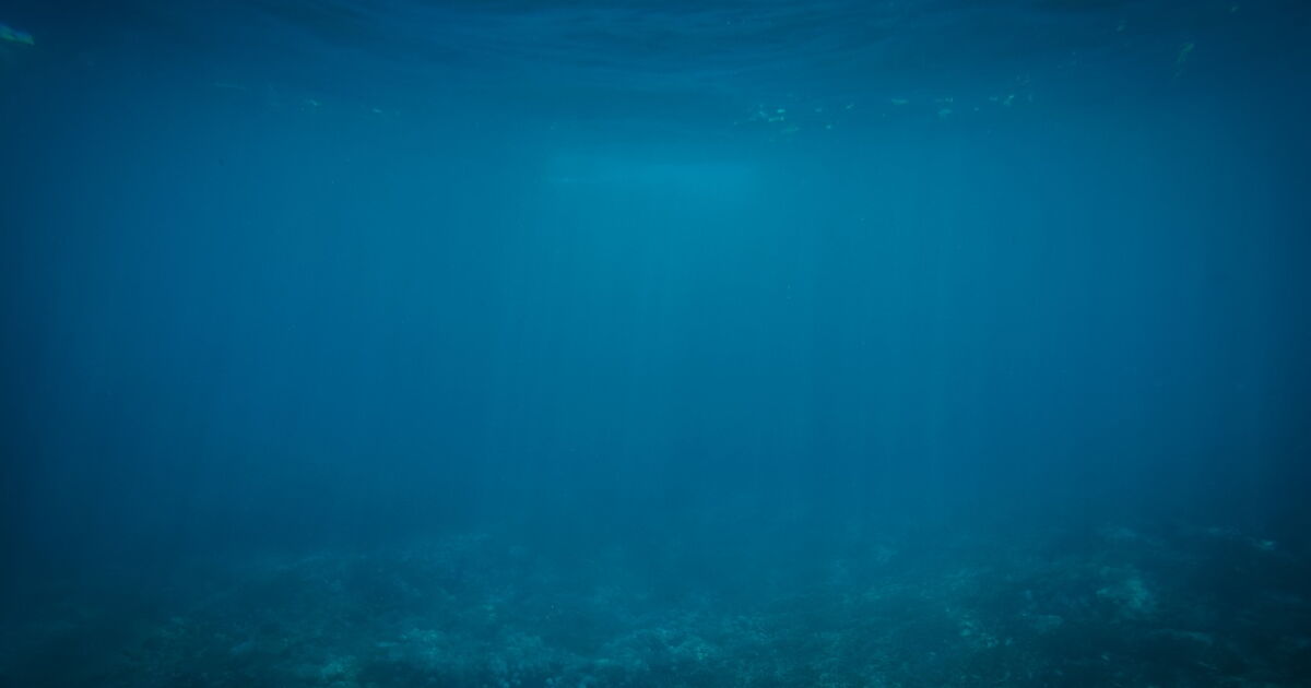 Zone hadale : l'endroit le plus profond de l'océan - Ça m'intéresse