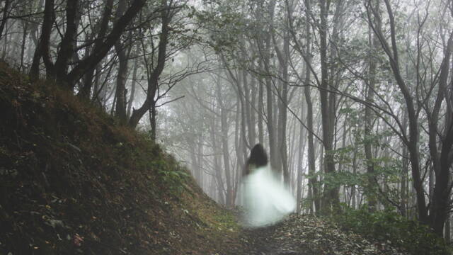 Aux origines de la légende de la dame blanche - Ça m'intéresse