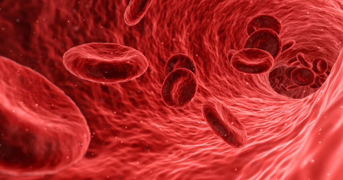 Peut-on magnétiser le fer du sang ? - Ça m'intéresse