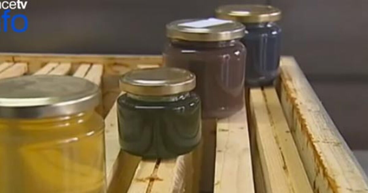 Des abeilles produisent du miel bleu et vert en Alsace. Comment est-ce ...