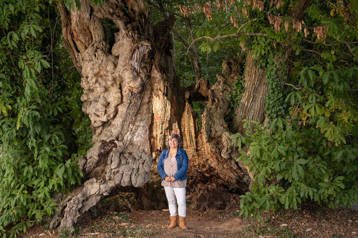 Les plus beaux arbres de l'année - Ça m'interesse
