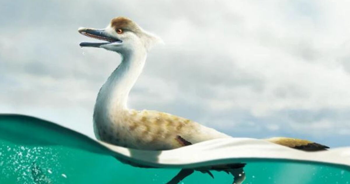 Découverte d'une nouvelle espèce de dinosaure au physique proche du ...