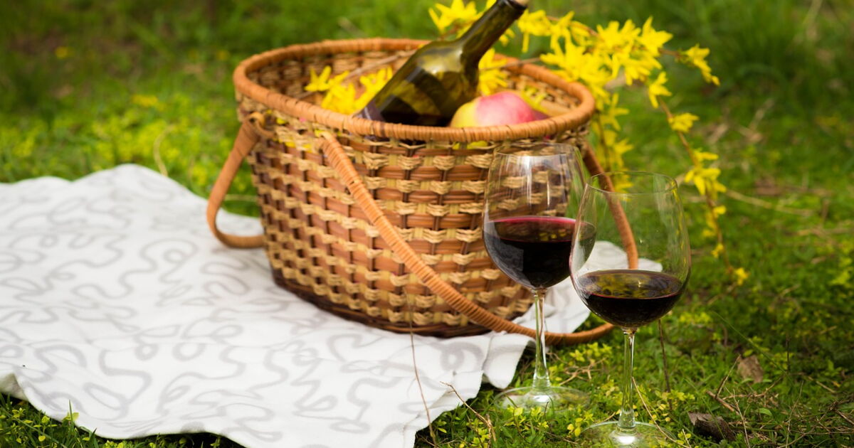 Comment réussir son pique-nique ? - Ça m'intéresse