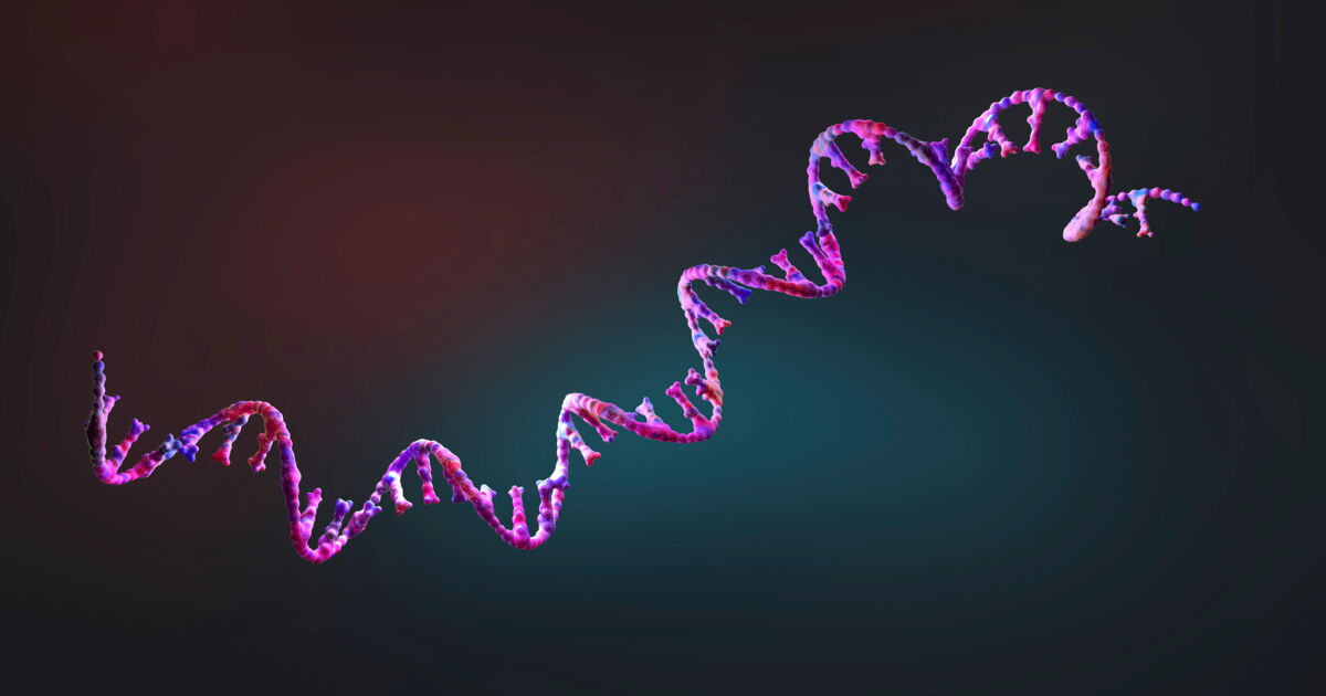 Qui a découvert l'ARN ? - Ça m'intéresse