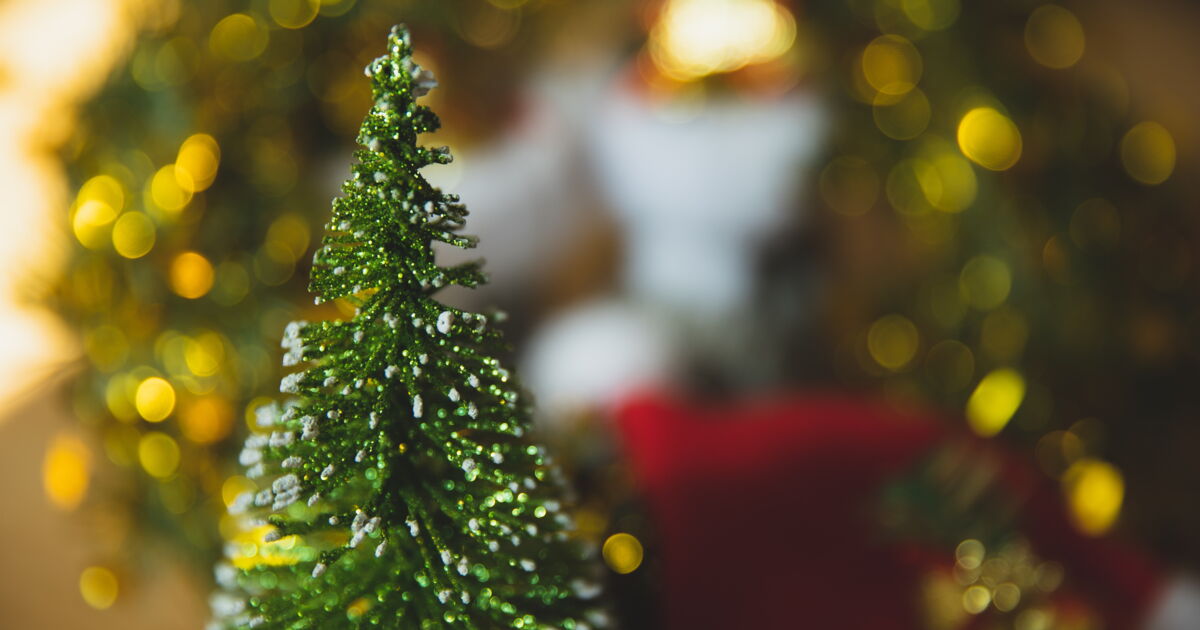 Quel était le symbole du sapin avant le christianisme ? - Ça m'intéresse