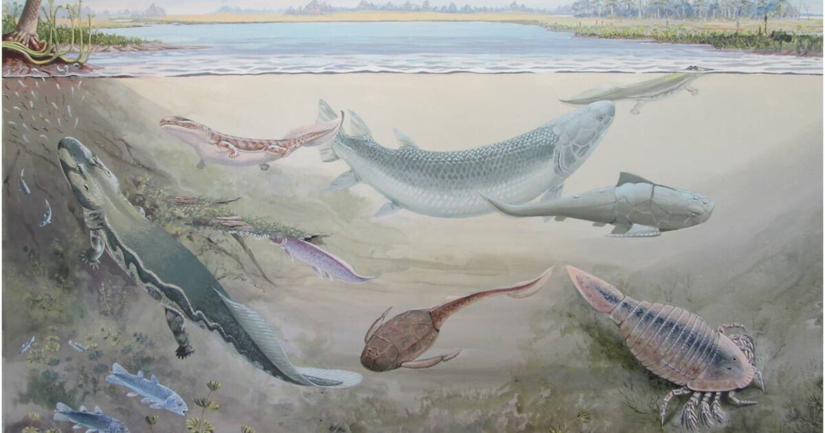 Un ancien poisson géant avec des dents "immenses" découvert en Afrique ...