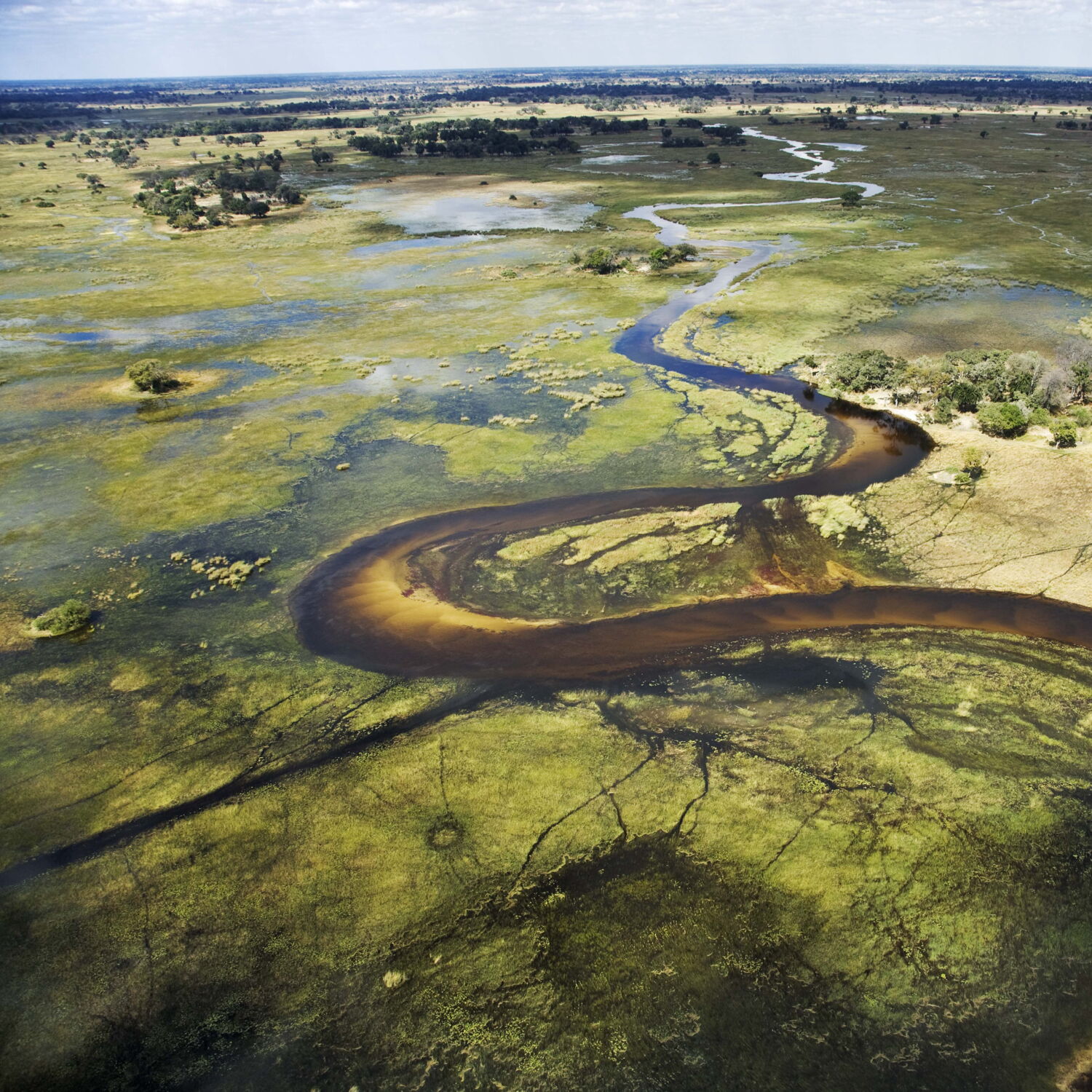 L'Okavango, un fleuve d'Afrique qui ne rejoint jamais la mer ...
