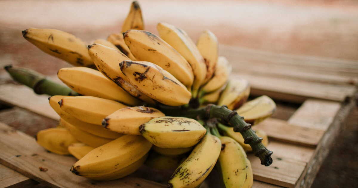 Pourquoi les bananes sont-elles courbées ? - Caminteresse.fr