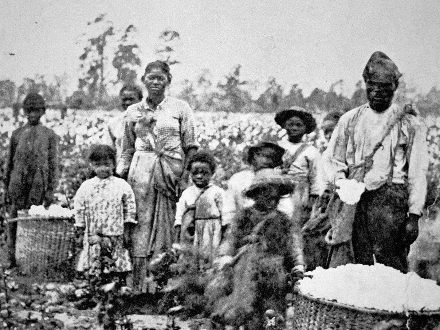 De l’esclavage à l’impact environnemental, l’histoire fascinante du ...