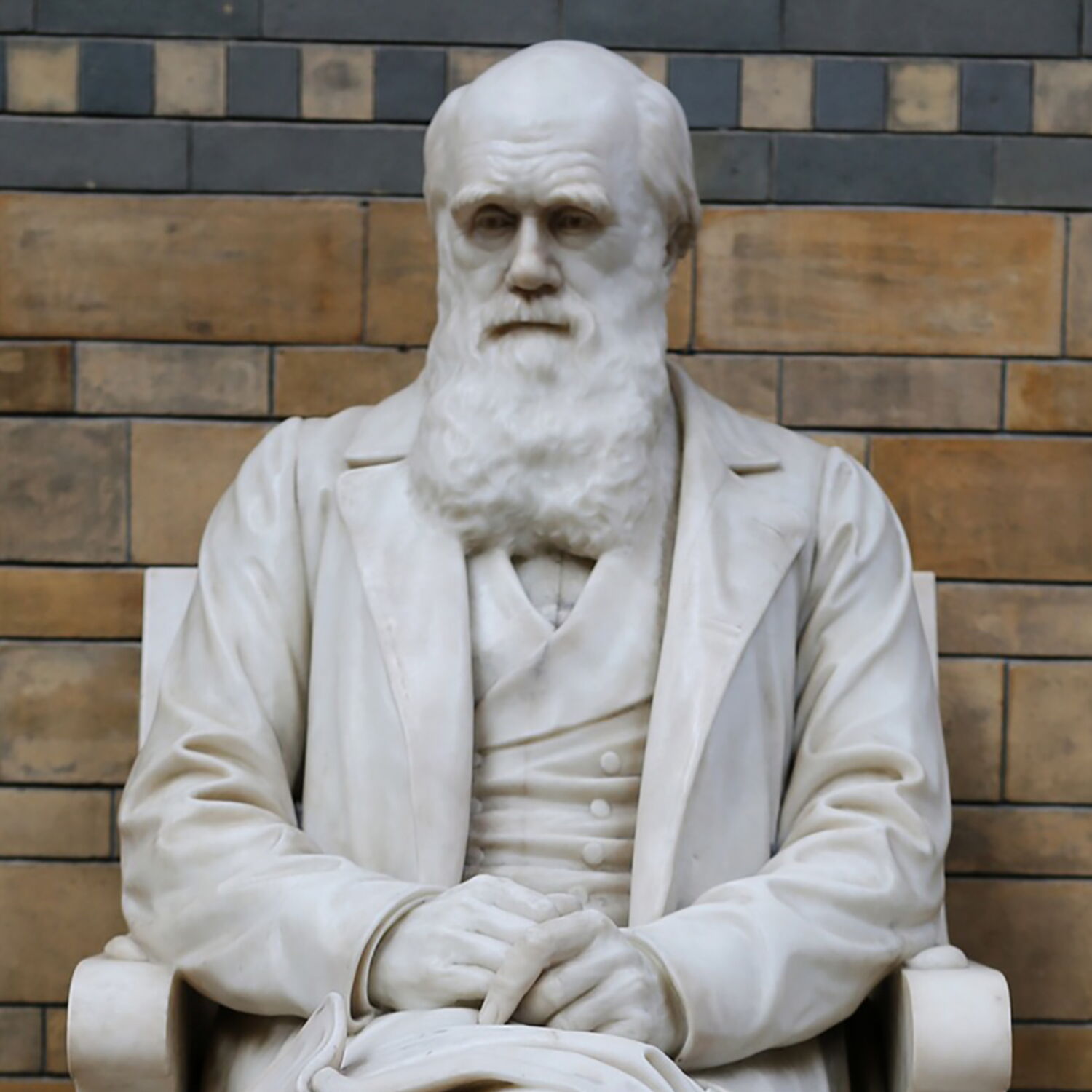 Charles Darwin : qu'est-ce que la théorie de l'évolution ? - Geo.fr