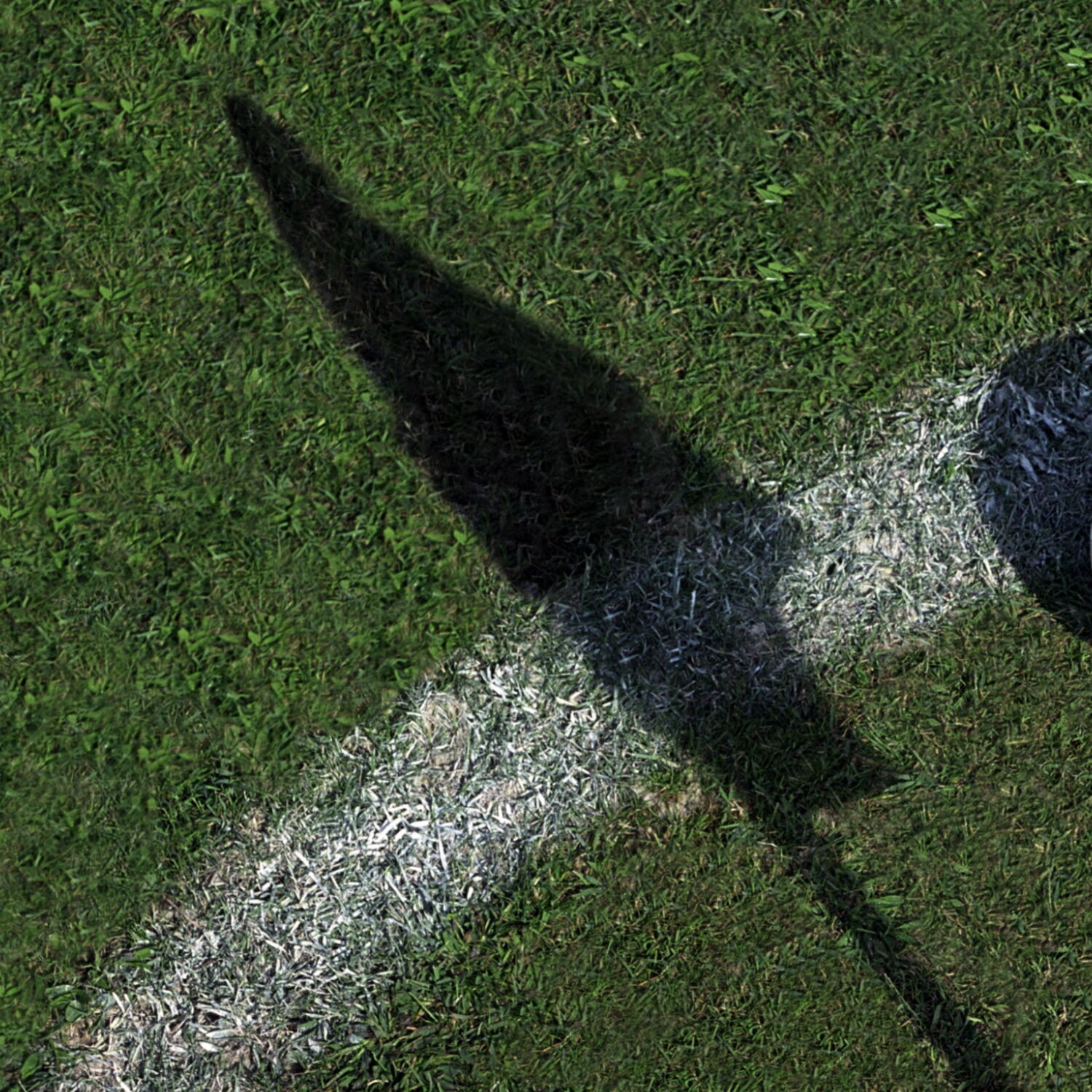 Origine du football : où et comment le football a-t-il été inventé ...