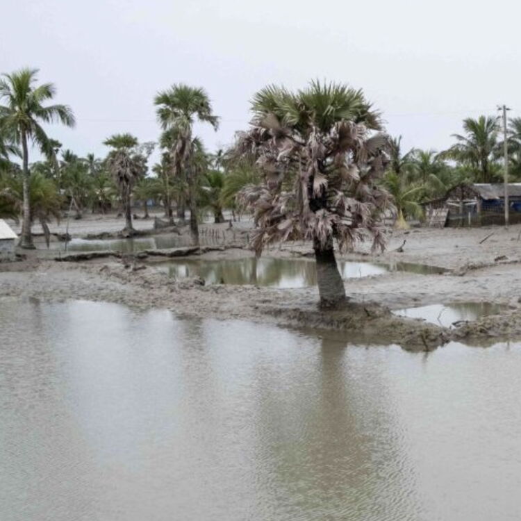 Qu’est-ce que la salinisation qui menace les cultures, l’eau potable et ...