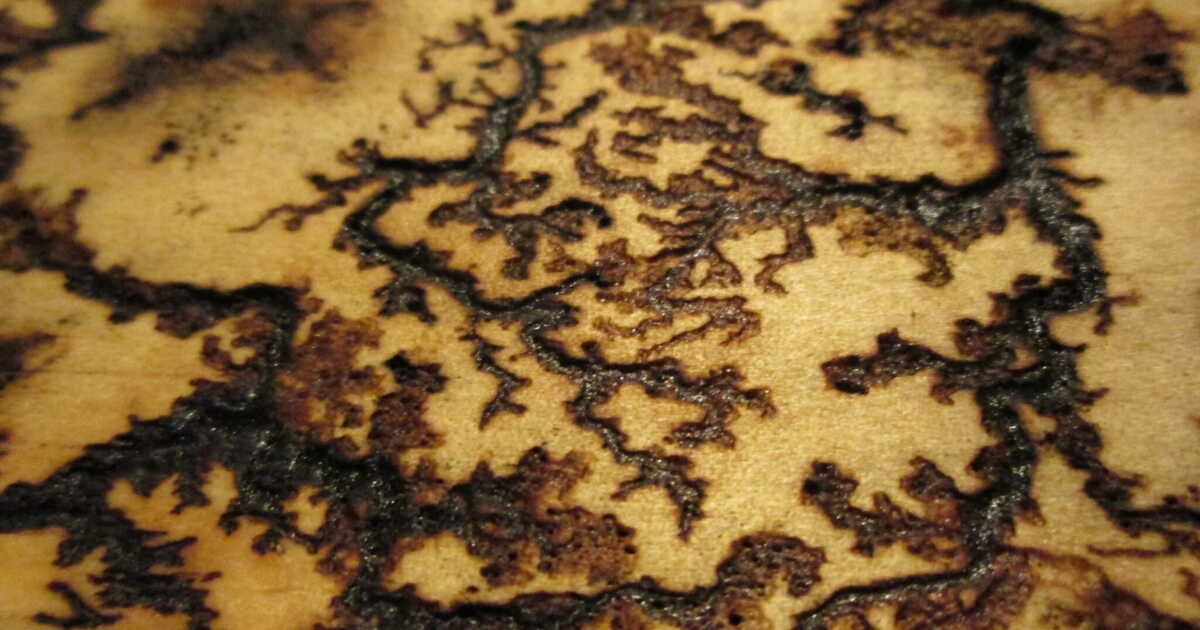 Figure de Lichtenberg : d'où vient cette forme incroyable provoquée par ...