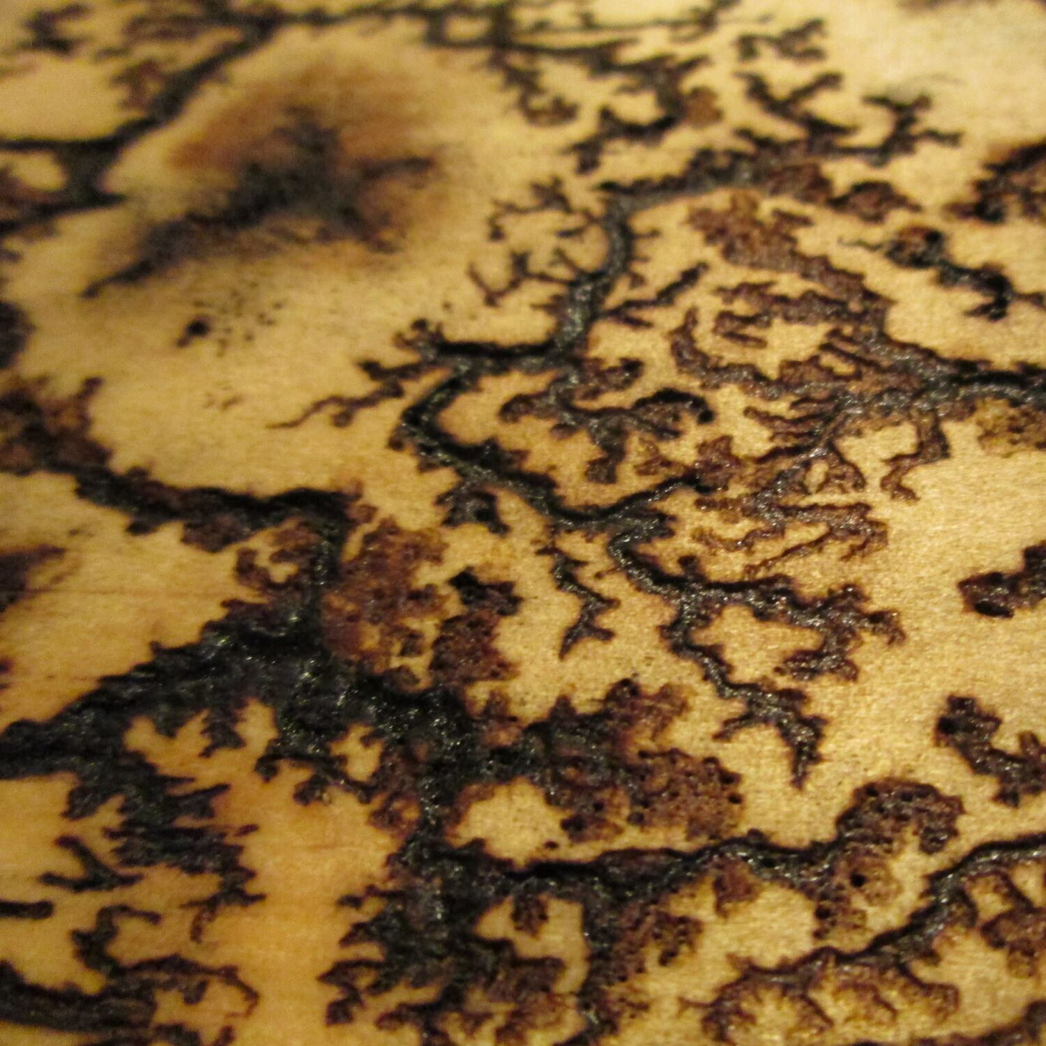 Figure de Lichtenberg : d'où vient cette forme incroyable provoquée par ...