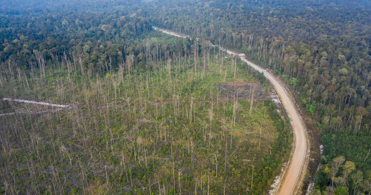 Un vaste réseau de "routes fantômes" permet de secrètement saccager des ...