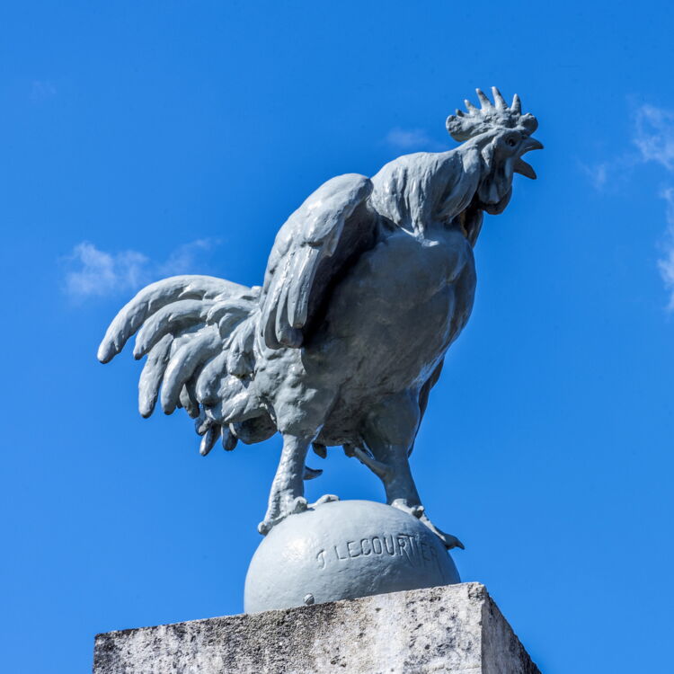Quelle est l'origine du coq comme emblème de la France ? - Geo.fr