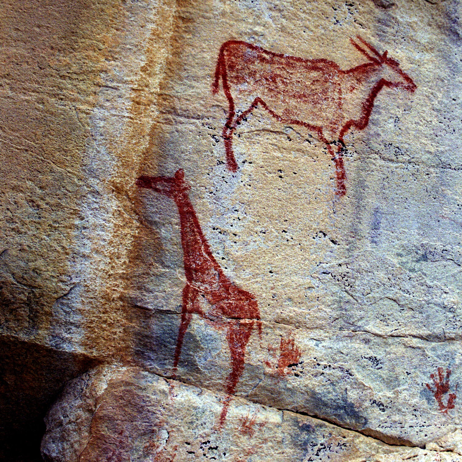 Tsodilo ou le "Louvre" du désert : un trésor millénaire de l'art ...